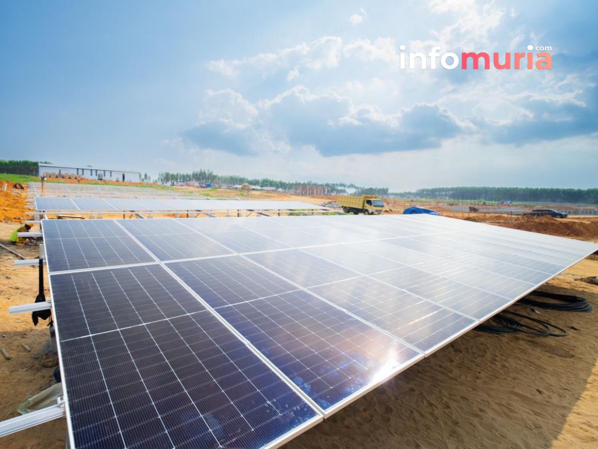 Hadirkan 100% Energi Bersih di IKN, Presiden Groundbreaking PLTS PLN 50 ...